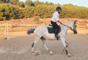 Maneggio Matera: tour ed escursioni a cavallo